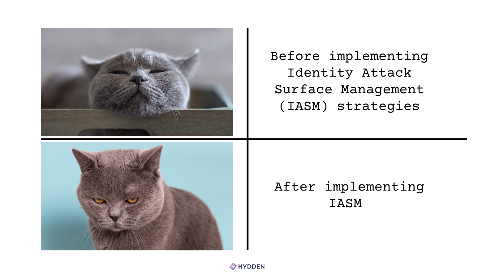 What is Identity Attack Surface Management (IASM)?